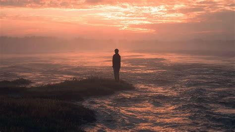 🌿 Quiet Step The Art Of Stillness In A Noisy World By Adrian Cole