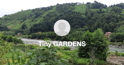 Tiny Gardens Tinygardens Unsplashフォトコミュニティ