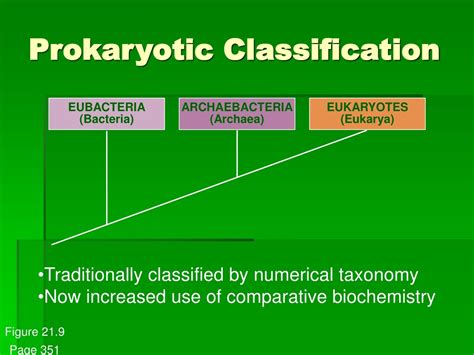 Ppt Prokaryotes And Viruses Powerpoint Presentation Free Download