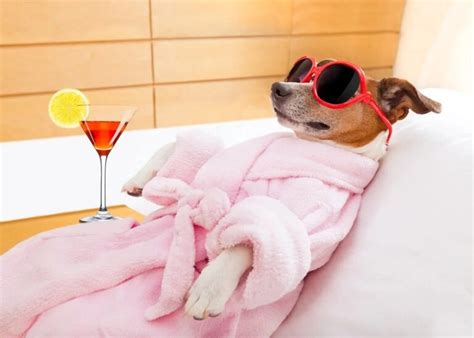 41 Funny Relaxing Memes To Help You Unwind Develop Good Habits