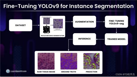 详细介绍如何使用yolov9 在医疗数据集上进行实例分割 含源码数据集下载yolov9实例分割 Csdn博客