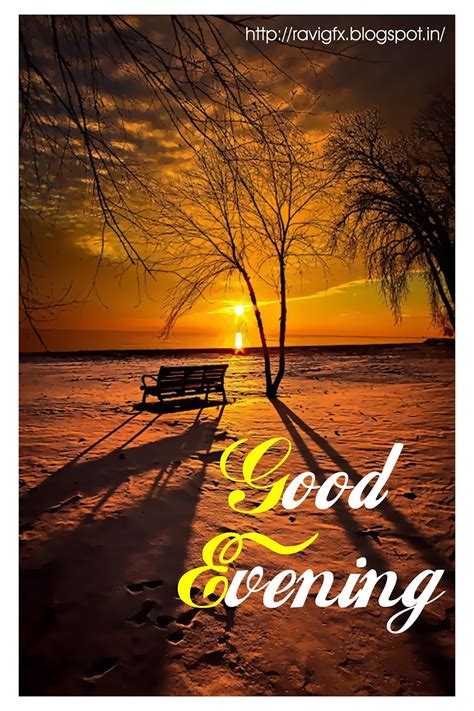 Nature Good Evening Wallpaper