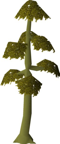 Yew Tree Farming Osrs Wiki