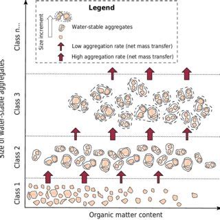 Conceptual Model Of The Aggregation Rate Approach Download Scientific Diagram