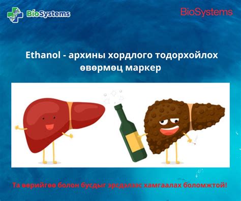 ️🌫 Шинэ сарын мэнд Этанол Biosystems Mongolia Llc