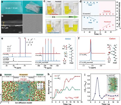 Characterization Of The Cation‐selective Cs Separator A Photographs