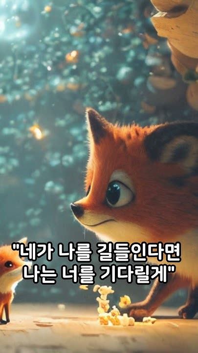 어린왕자 여우 Youtube