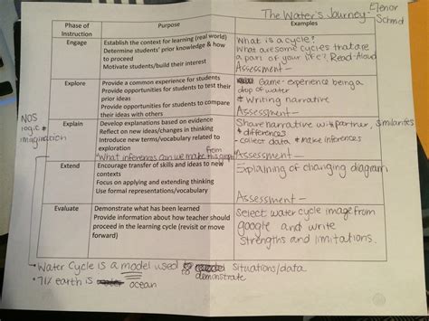 Science Portfolio Rebecca Fiore