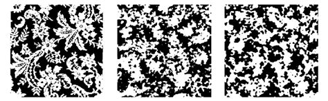 the observed binary texture on the left is a binary version of a part
