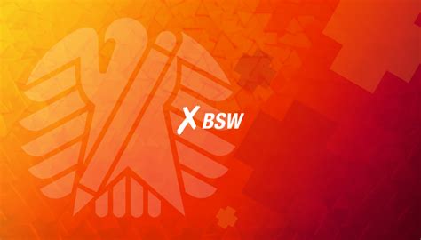 Bsw Wen Soll Ich Wählen