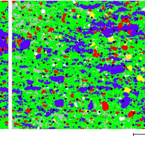 Indentation Grid Pattern Superimposed On The Multispectral Image Download Scientific Diagram