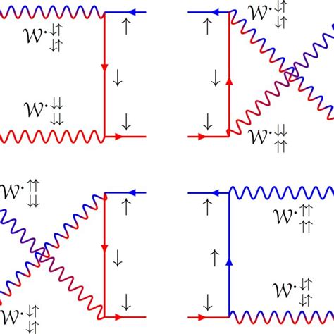 diagrammatic representation of the part of the spin flip interaction