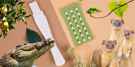 7 Strange Birth Control Methods Through History 7 Strange Things