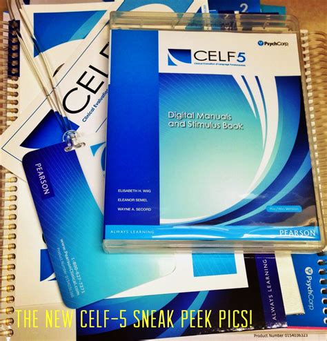 Celf 5 Manual Chart Sacristy