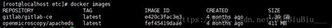 Docker中的一些服务集成ldap（apacheds）centons79 Dokcer 部署ldap Csdn博客