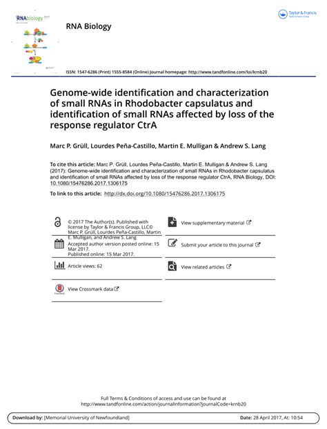 Pdf Genome Wide Identification And Characterization Of Small Rnas In Rhodobacter Capsulatus