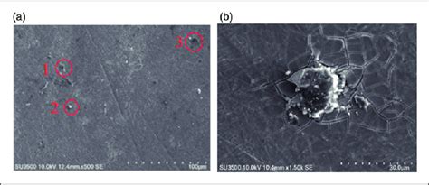 Unmelted Powder Particle Defects On Additive Ti6al4v Sample A