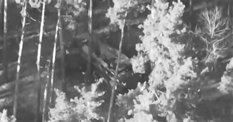 Hacemos Periodismo Infobae