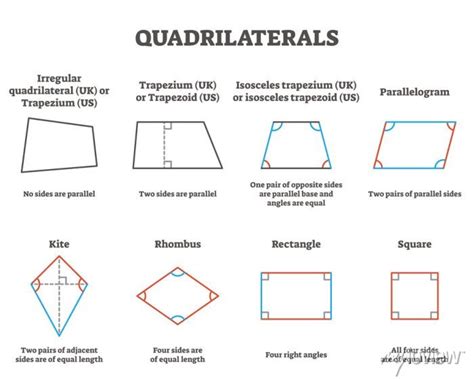 Quadrilaterals Vector Illustration Labeled Four Side Geometrical