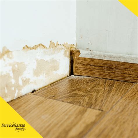 Water Mitigation And Water Restoration Whats The Difference