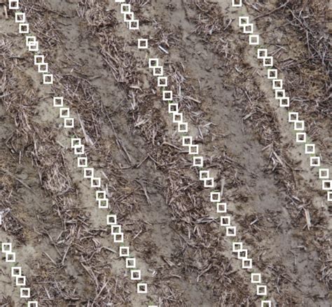Do Variable Rate Seeding And Fertilizer Programs Pay Taranis