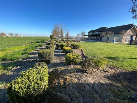 Rg Lawn Services El Nido Ca