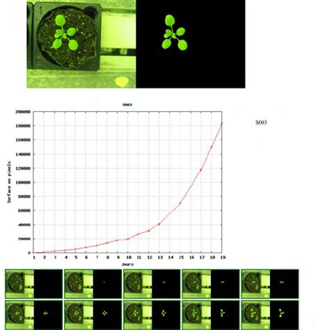 Html Analysis Page For Each Plant Pot It Includes The Generated Video