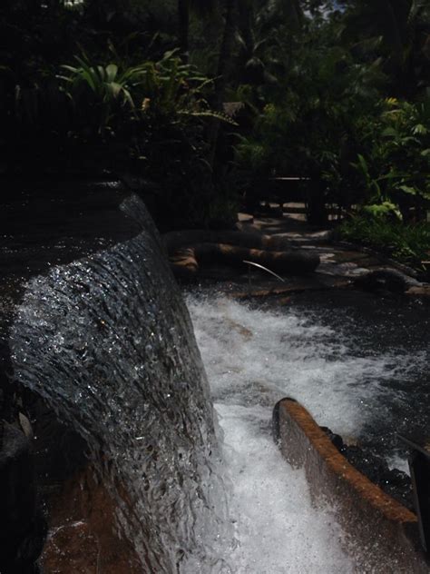 Tabacon Hot River Tabacon Hot Spring And Resort Spa Arenal Costa Rica Coloreats