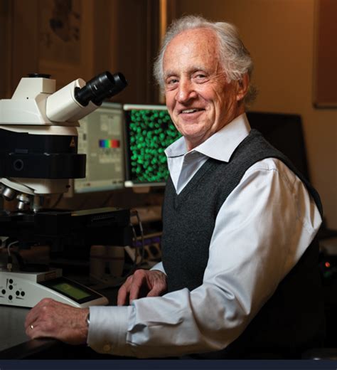 Example Template 3 Neuroscience Program The University Of Utah