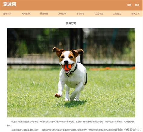 25 可爱的宠物狗网页 web前端网页制作 大学生期末大作业 html5 css3 js dw编程小狗代码作业怎么做 csdn博客