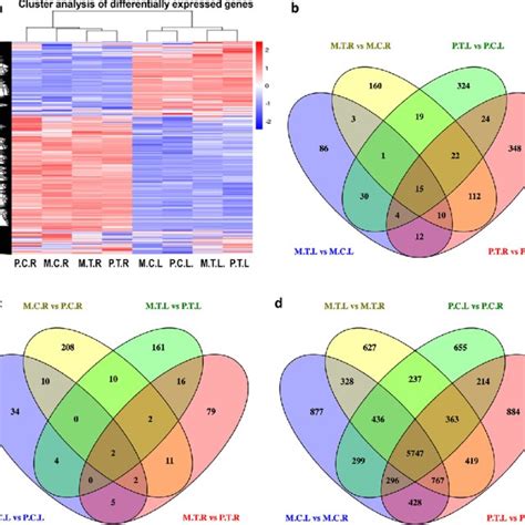 Heat Map Based Clustering And Venn Diagram Analysis Of Differentially