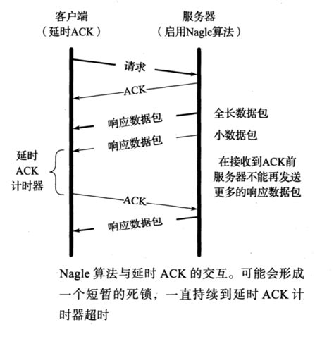 Tcp 进阶