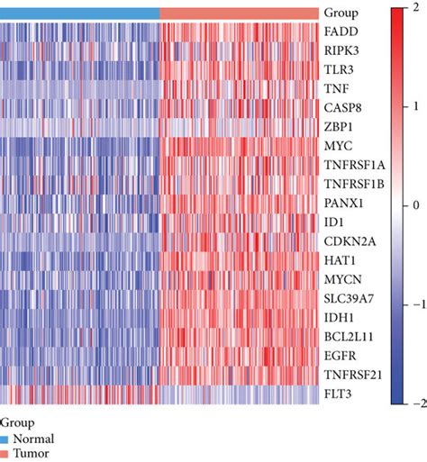 Identifying Prognostic Genes For Developing A Risk Model A A