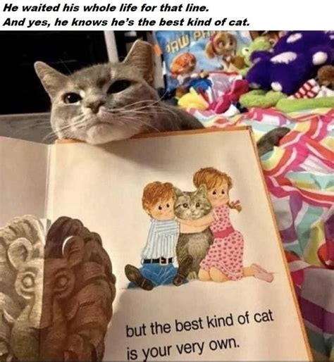 The Best Validation Memes Memedroid