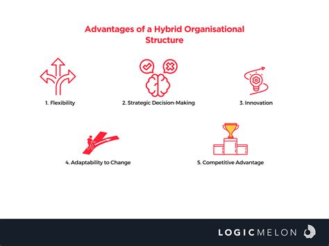 What Is A Hybrid Organisational Structure