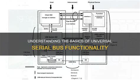 Understanding The Basics Of Universal Serial Bus Functionality Shunauto