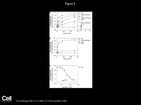 christopher w carroll maria enquist newman david o morgan ppt