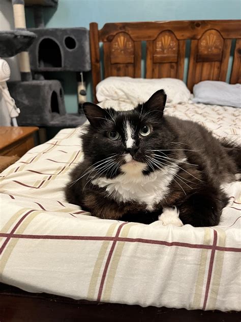 Patiently Waiting To Bite Me If I Touch Her Rcute