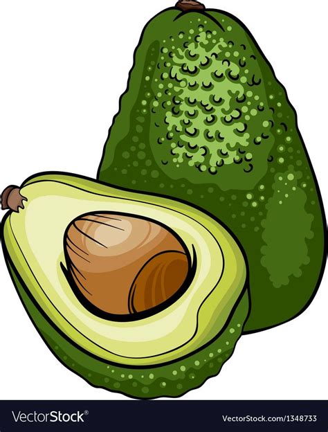 Avocado Fruit Cartoon Vector Image On Vectorstock Realistic Mango