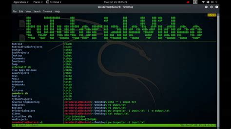 Cum Folosim Password Inspector Pe Linux 1