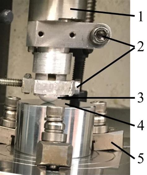 Indentation Test Rig Consists Of 1 Force Sensor 2 Clamps 3