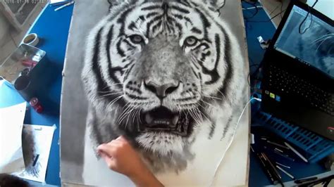 How To Draw A Tiger Realistic Pencil Drawing Jon Harris PaintingTube