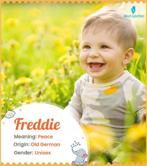 Fred Name Meaning Origin History And Popularity Insights