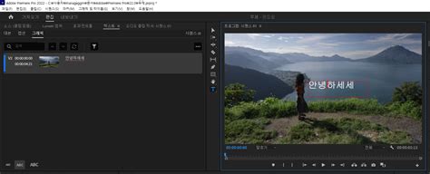 22 4 버전에서 한글 중복입력 현상 캡션 탭 이용한 작업 방법 adobe community 12966566