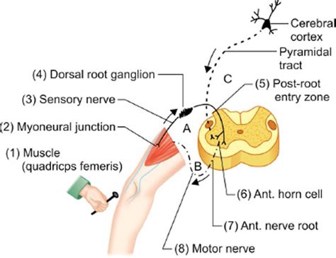 Quadrantenanopsie Icd