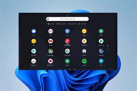 what type of files can chrome os run
