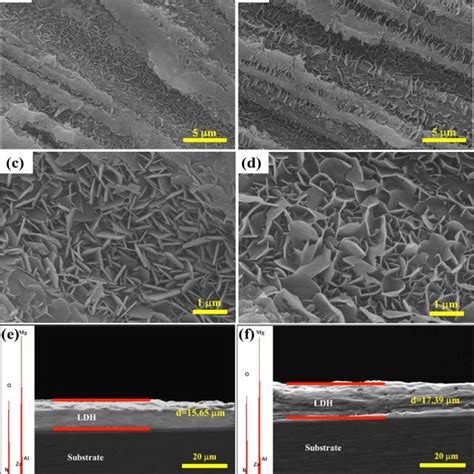 Sem Images Cross Sectional Views And The Corresponding Eds Spectra Of