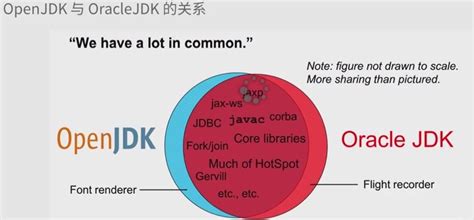 Java体系：组成结构 运行机制 Jrejdkopenjdk Java Seeeme Java优点openjdk Webstart Csdn博客