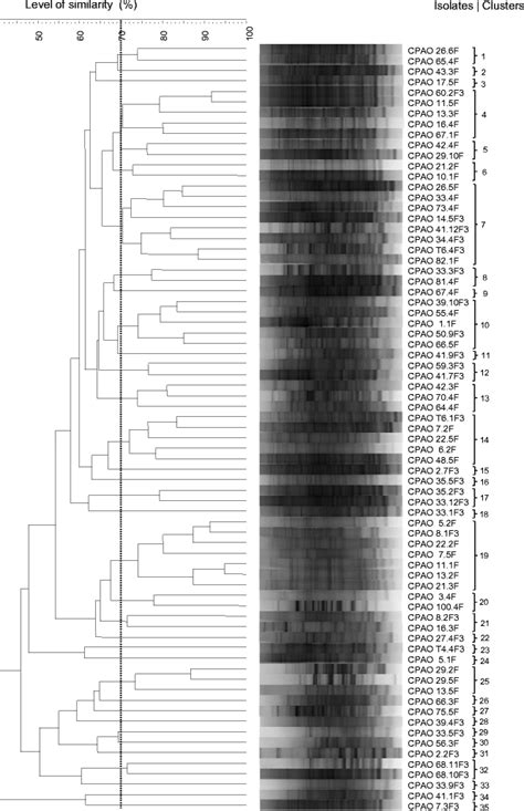 Cluster Analysis Based On The Upgma Method And The Jaccard Coefficient Download Scientific