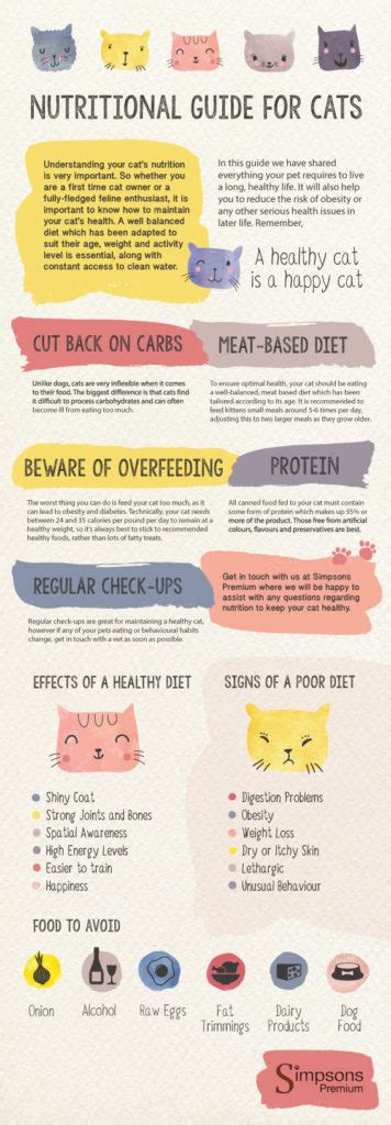 Nutritional Guide For Cats Infographic Simpsons Premium